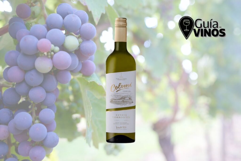 Colomé Estate Torrontés 2022 - Guía de Vinos